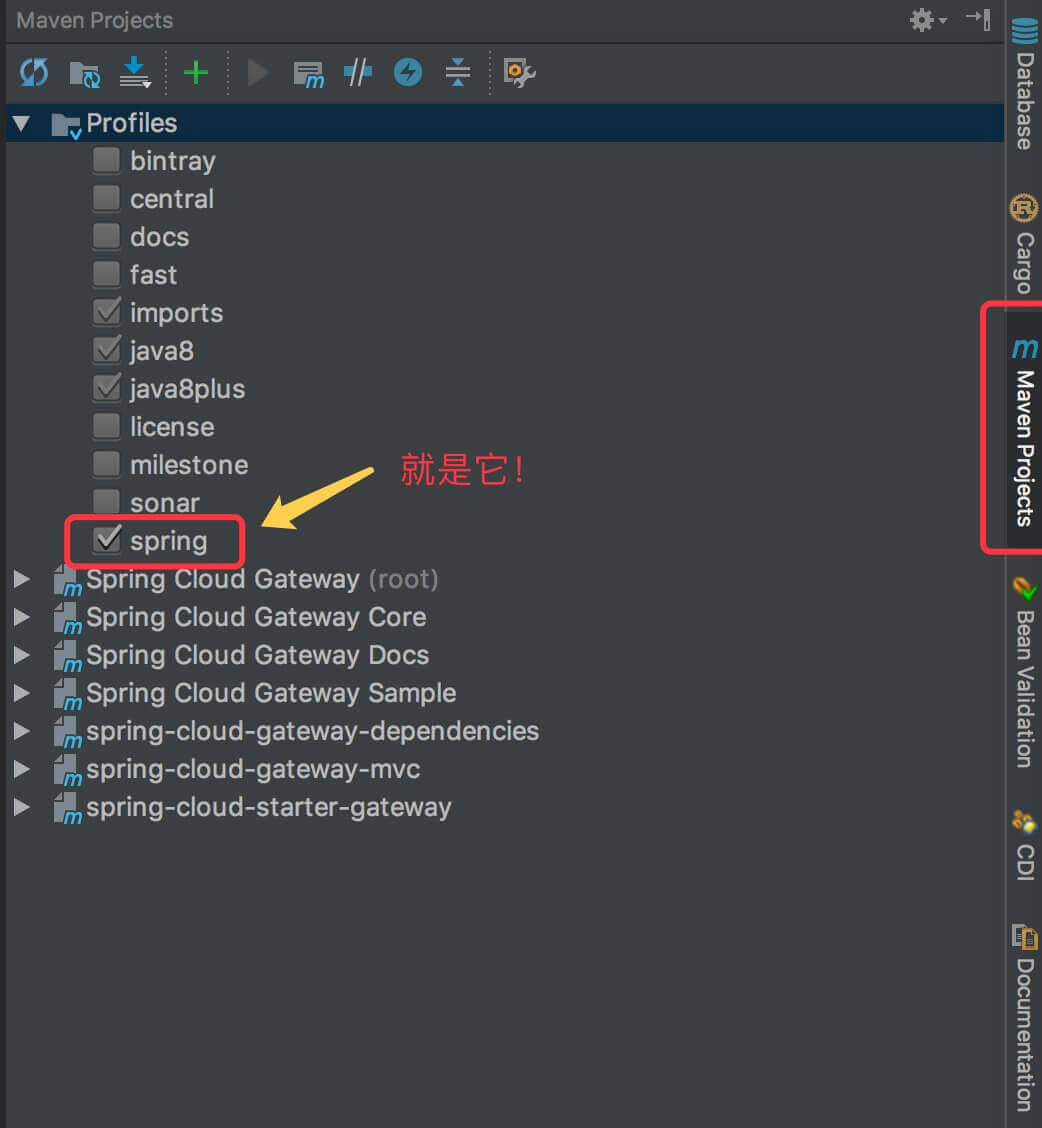Spring Cloud Gateway 源码解析 —— 调试环境搭建 芋道源码 —— 纯源码解析博客